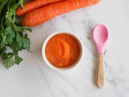 Carrot Puree for Babies - Creative Nourish