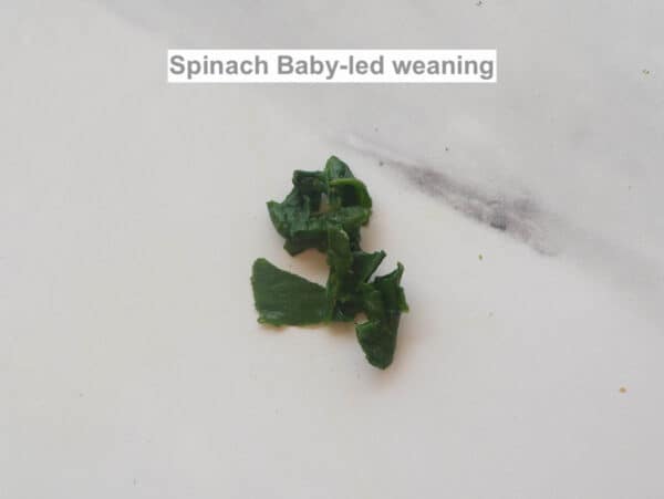 Best Pureed Spinach Baby Recipe - Creative Nourish
