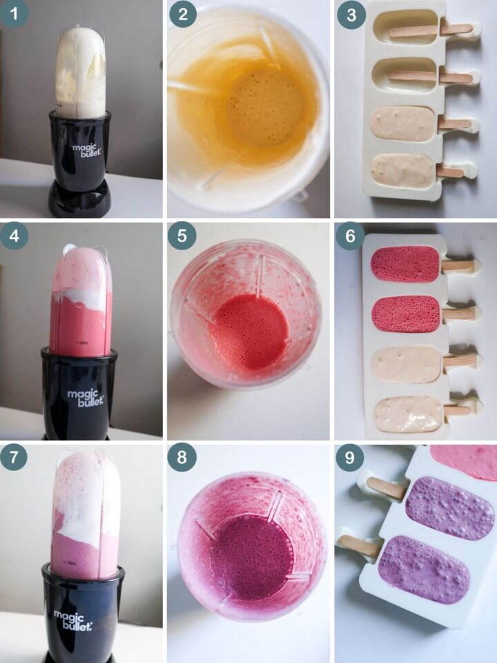 Greek Yogurt Homemade Popsicles for Kids - Creative Nourish